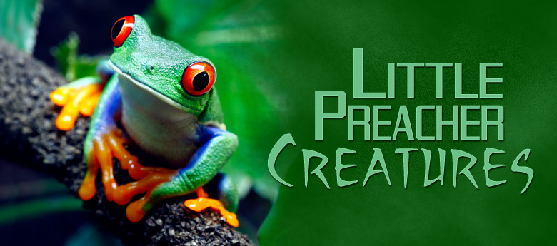 Little Preacher Creatures – Cape Baptist Church